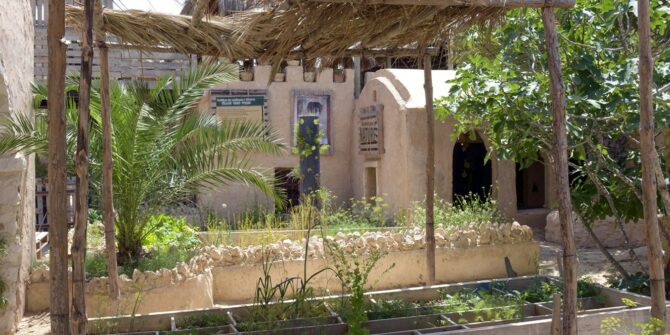 Terre d’Oasis - Djerba - Maisons d'hôtes en Tunisie