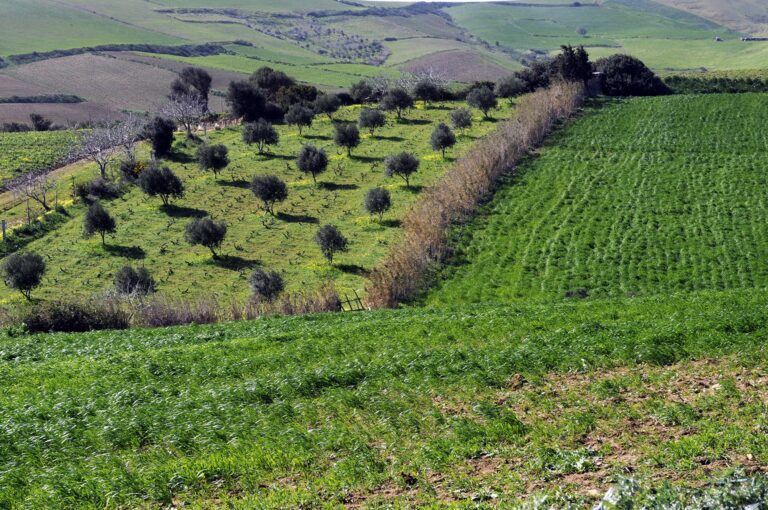 Dar El Lamma – Ras Jebel - Maisons d'hôtes en Tunisie