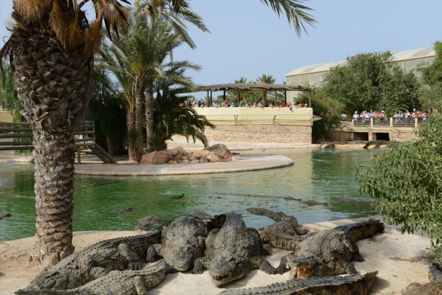 La Doukana de Sidi Jmour - Djerba - Maisons d'hôtes en Tunisie