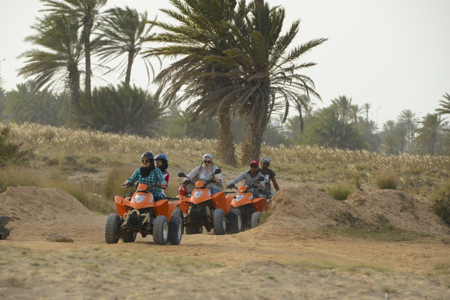Dar Al Andalus- Djerba - Maisons d'hôtes en Tunisie